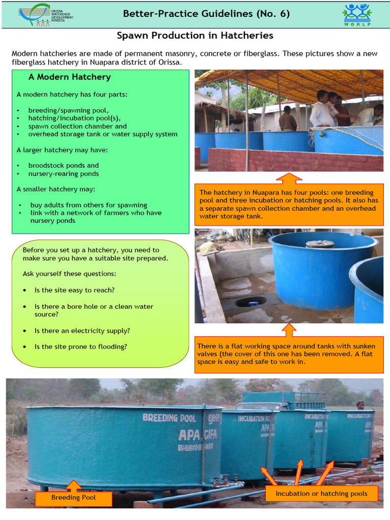 Better Practice Guidelines Spawn Production in Hatcheries | PDF