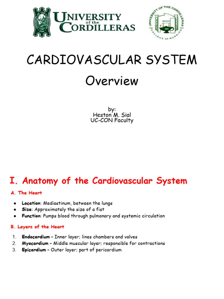 1. Cardiovascular System Overview | PDF | Heart | Heart Valve
