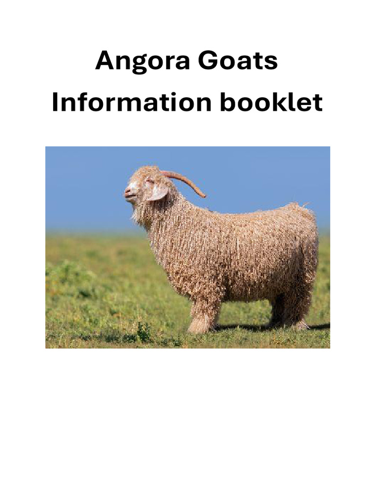Angora Goat Characteristics and Care | PDF | Goat
