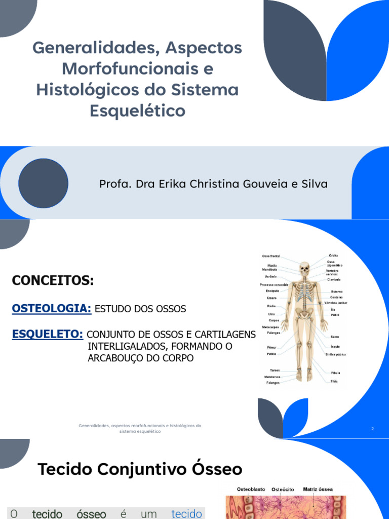 aula 3 | PDF | Osso | Esqueleto