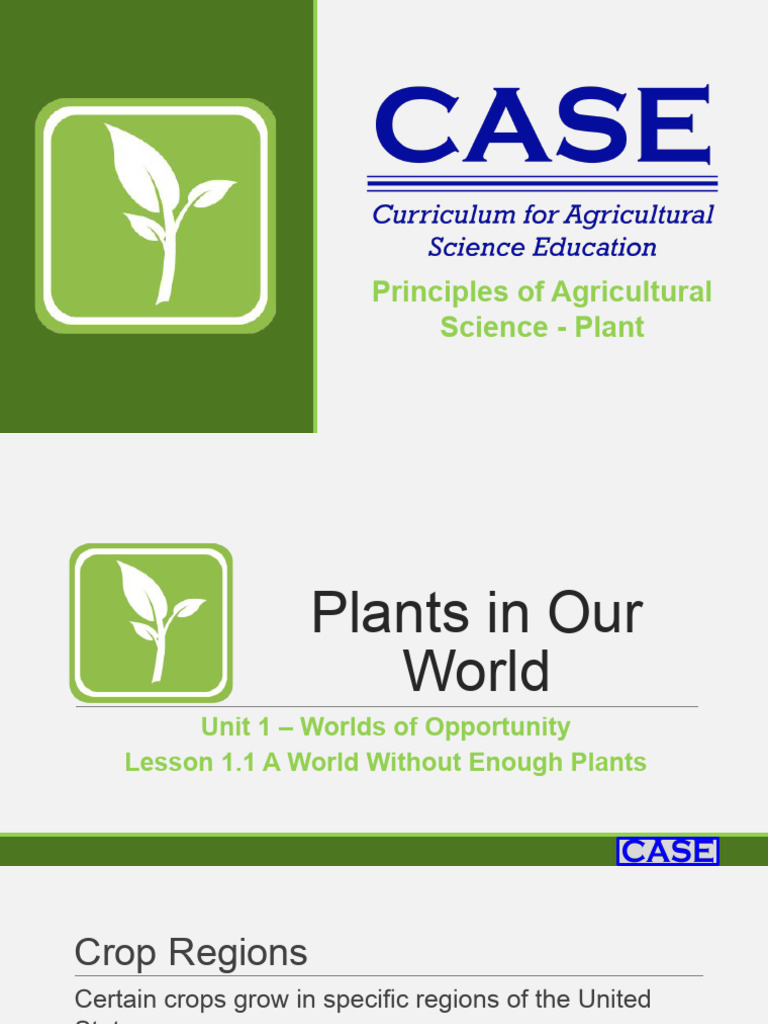 Plants in Our World | PDF