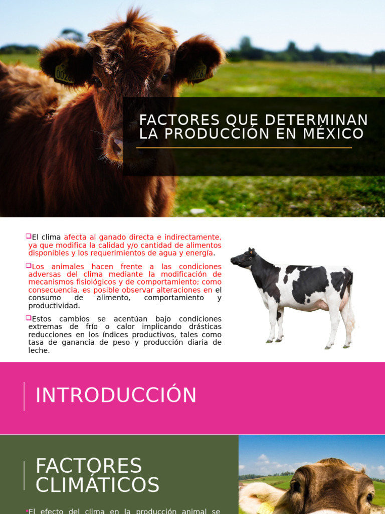 3 Factores Que Determinan El Desarrollo de La Prod | PDF | Clima | Termorregulación