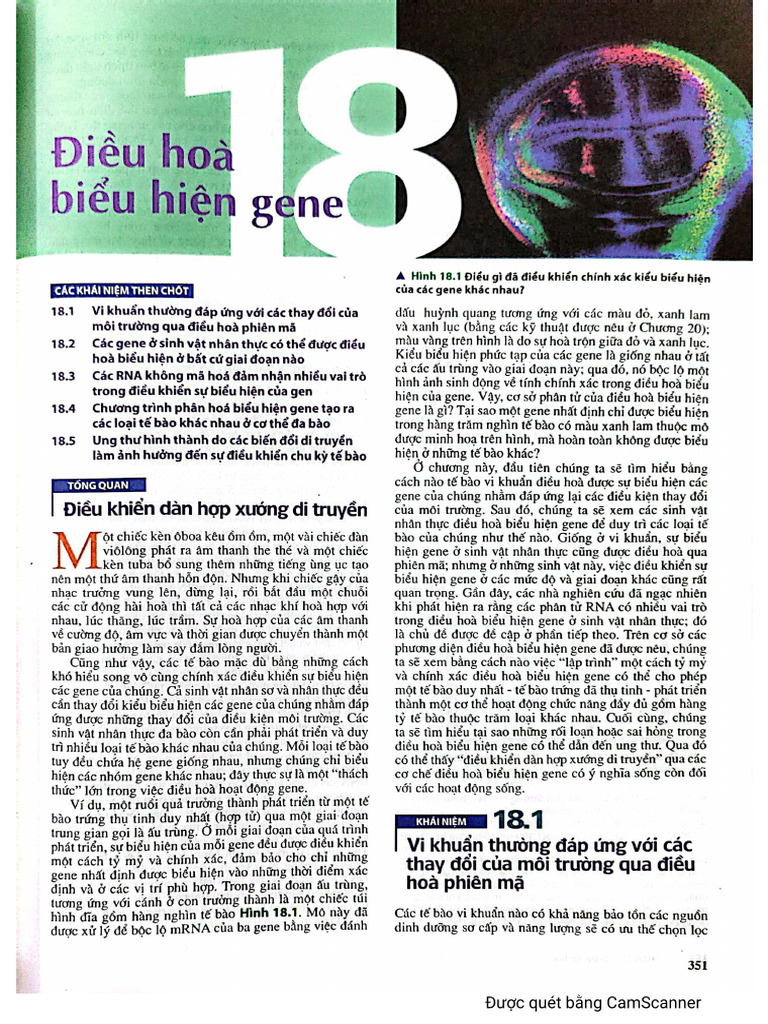 Dieu Hoa Hoat Dong Gene | PDF