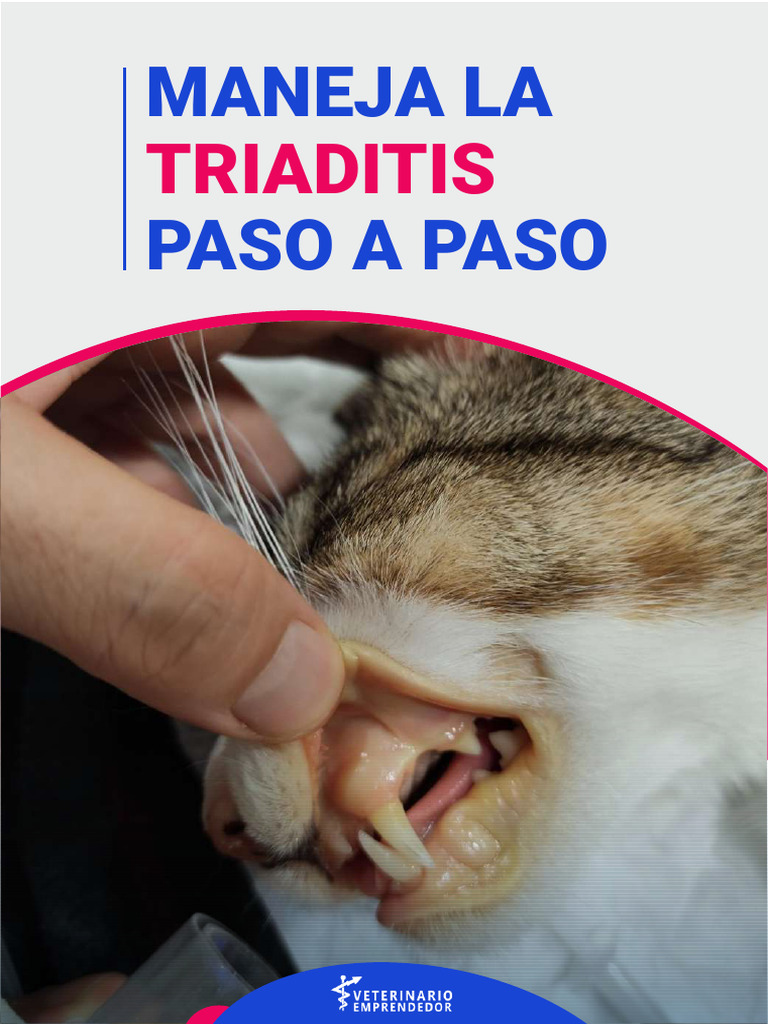 Manejo de Triaditis en Mascotas | PDF | Especialidades Medicas ...