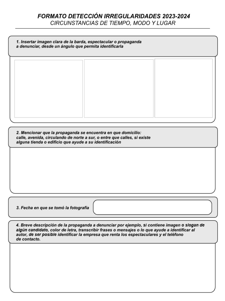 Formato 2023-Irregularidades Fill | PDF