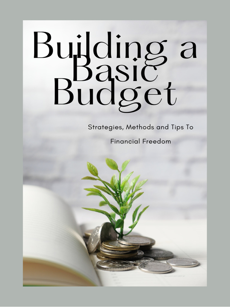 Building A Basic Budget | PDF | Cost Of Living | Net Worth