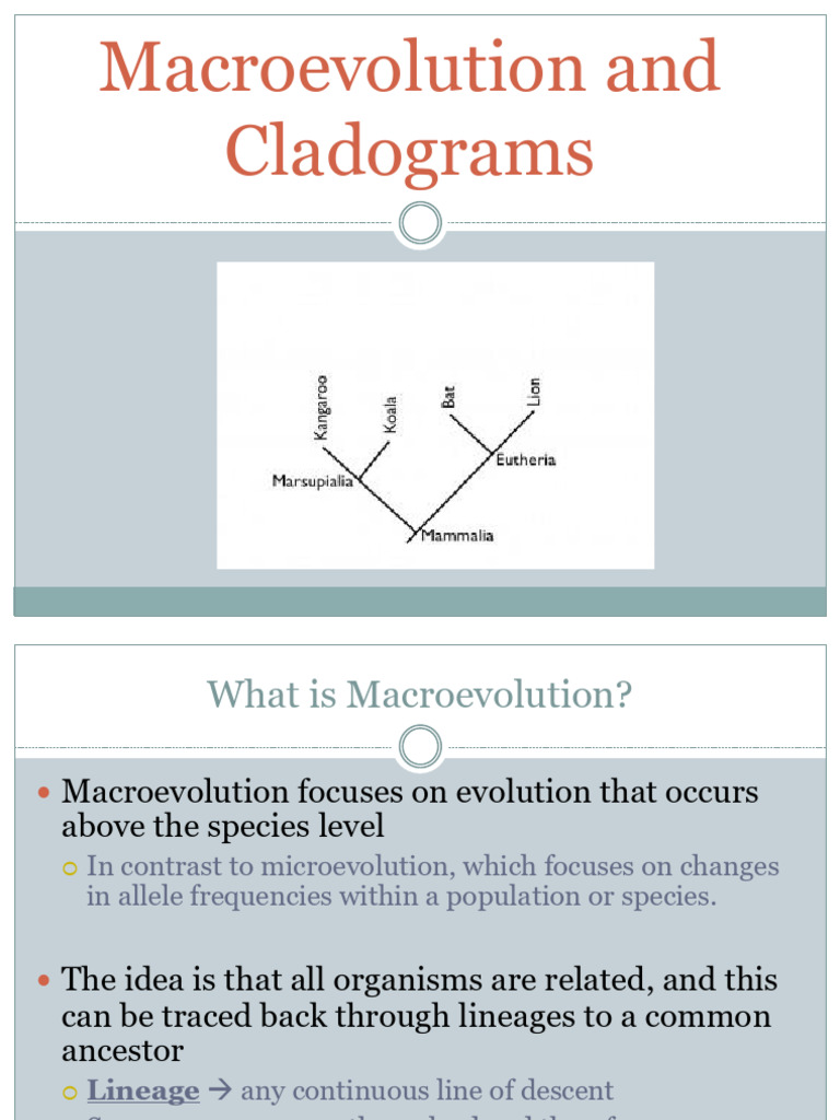 Cladograms | PDF