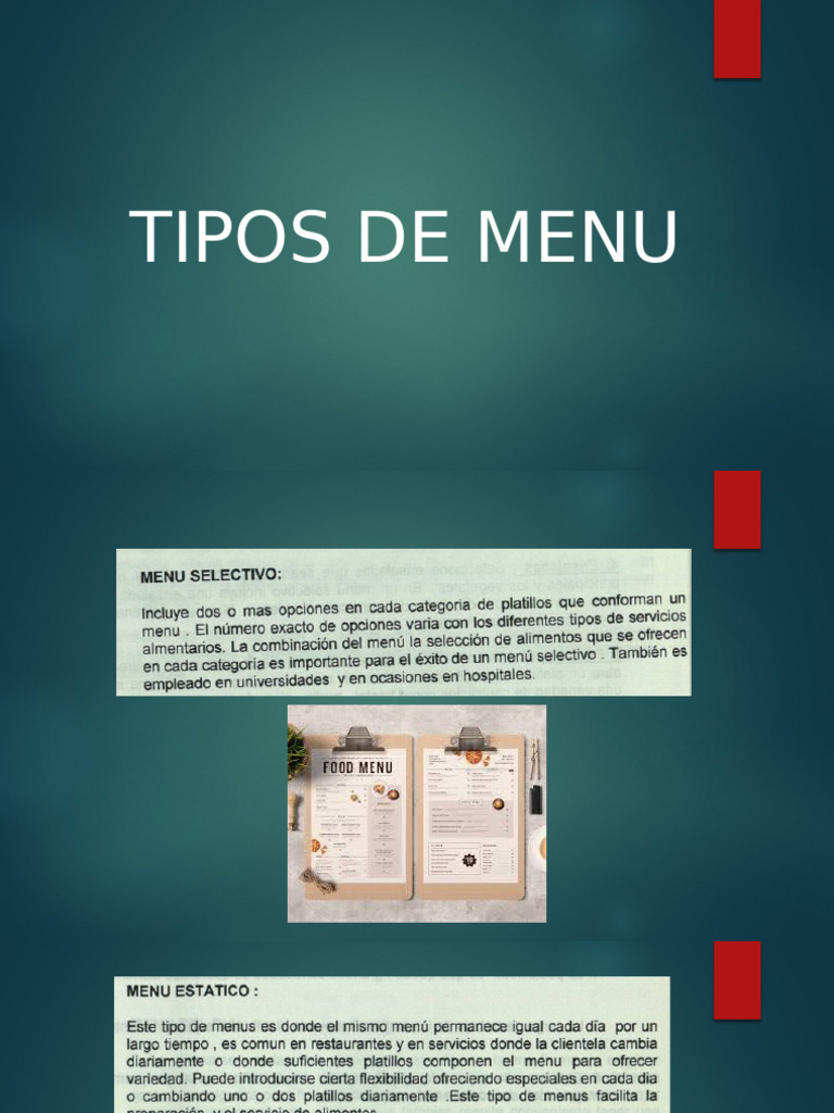 Tipos de Menu | PDF