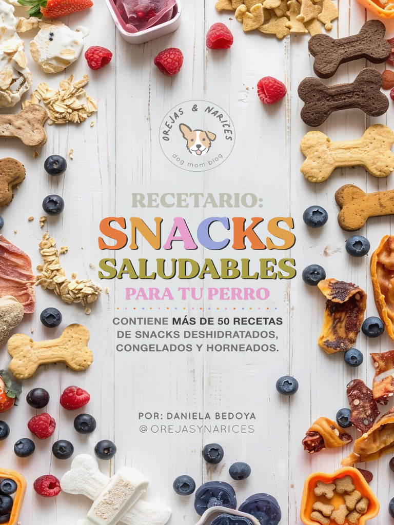 Recetario+Snacks+Saludables | PDF | Dieta | Carne