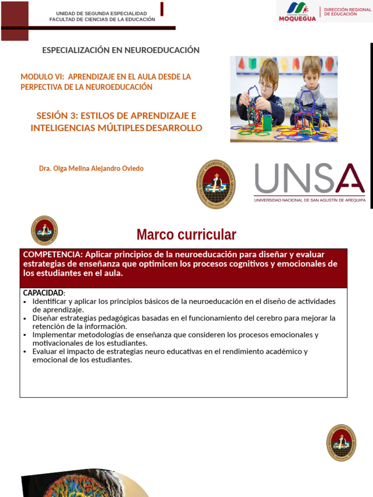 Inteligencias Multiples Estilos Sfs | PDF | Aprendizaje | Inteligencia