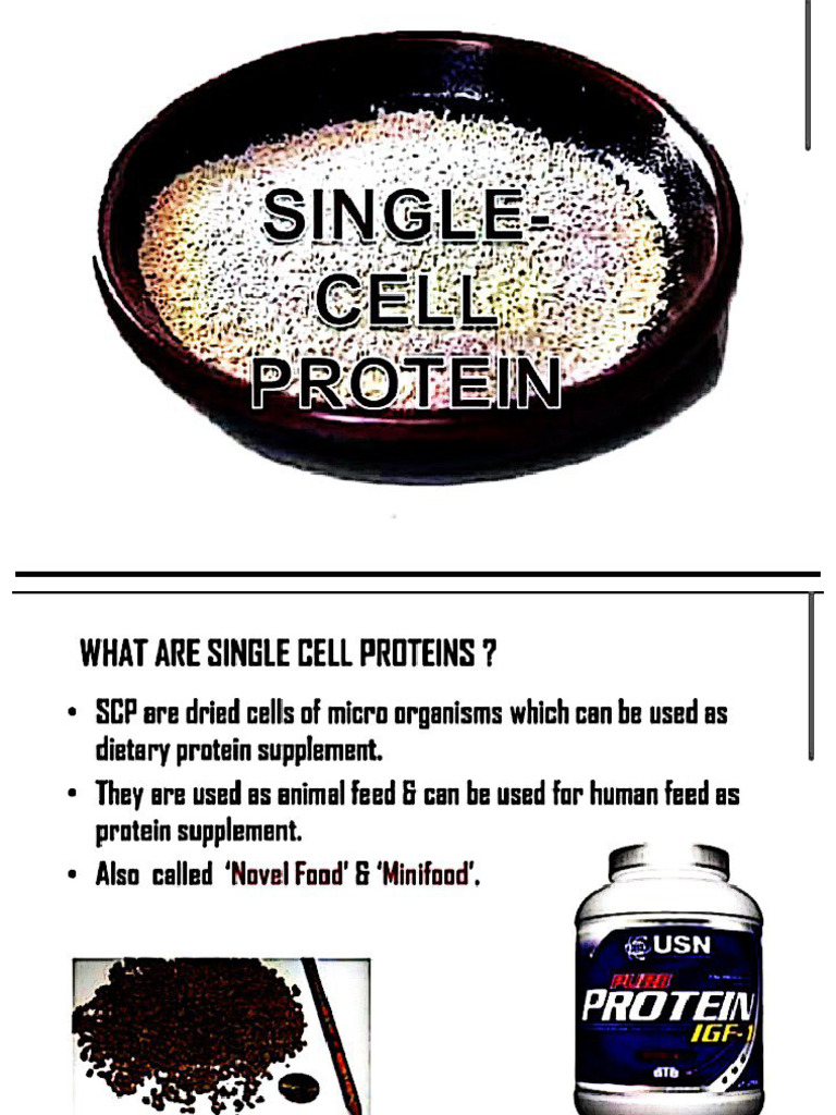 Single-Cell Protein (Khizra) | PDF