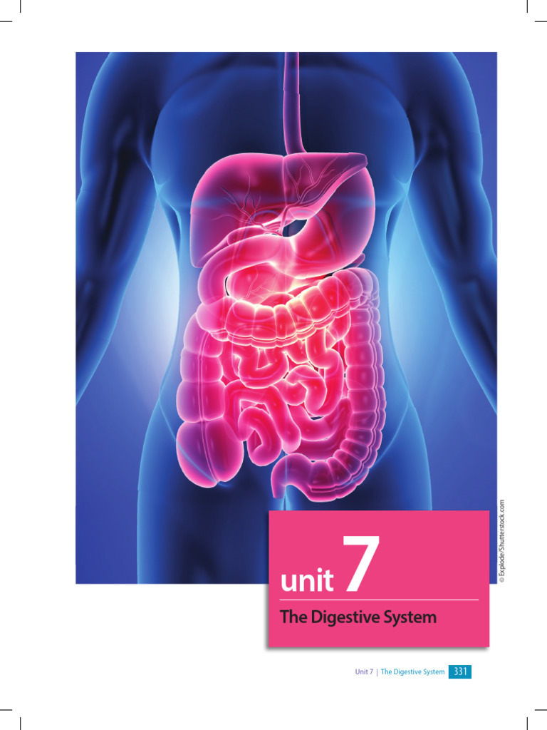 Unit 7 | PDF | Gastrointestinal Tract | Human Digestive System