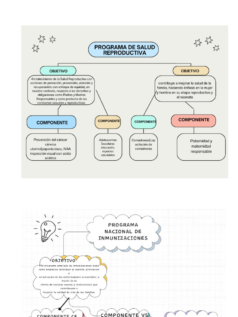 Mapas de Programas | PDF