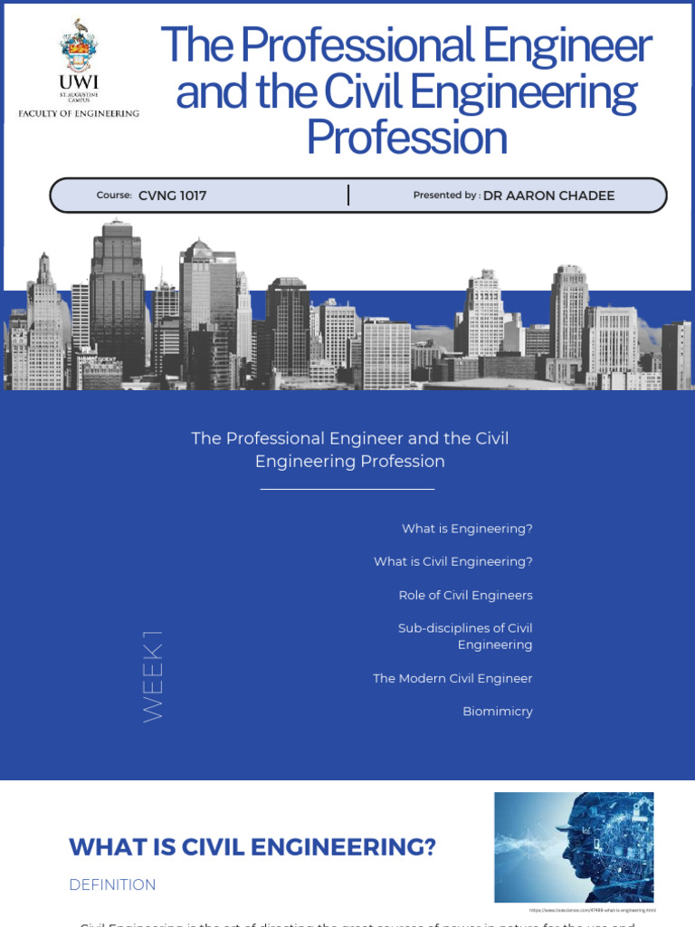 The Professional Engineer and The Civil Engineering Profession | PDF ...
