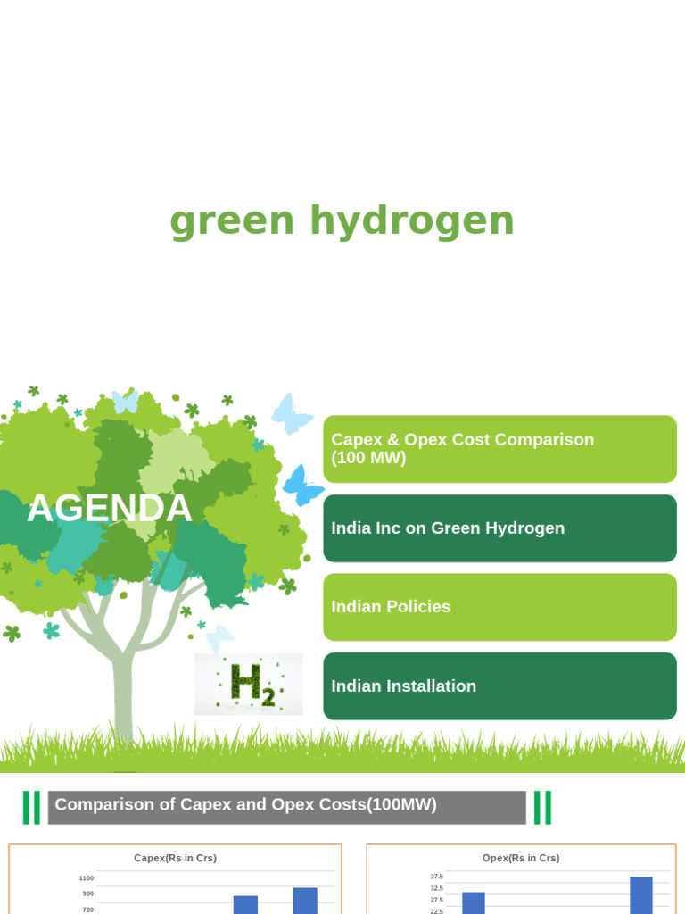 India's Green Hydrogen Ambitions | PDF | Solar Power | Hydrogen