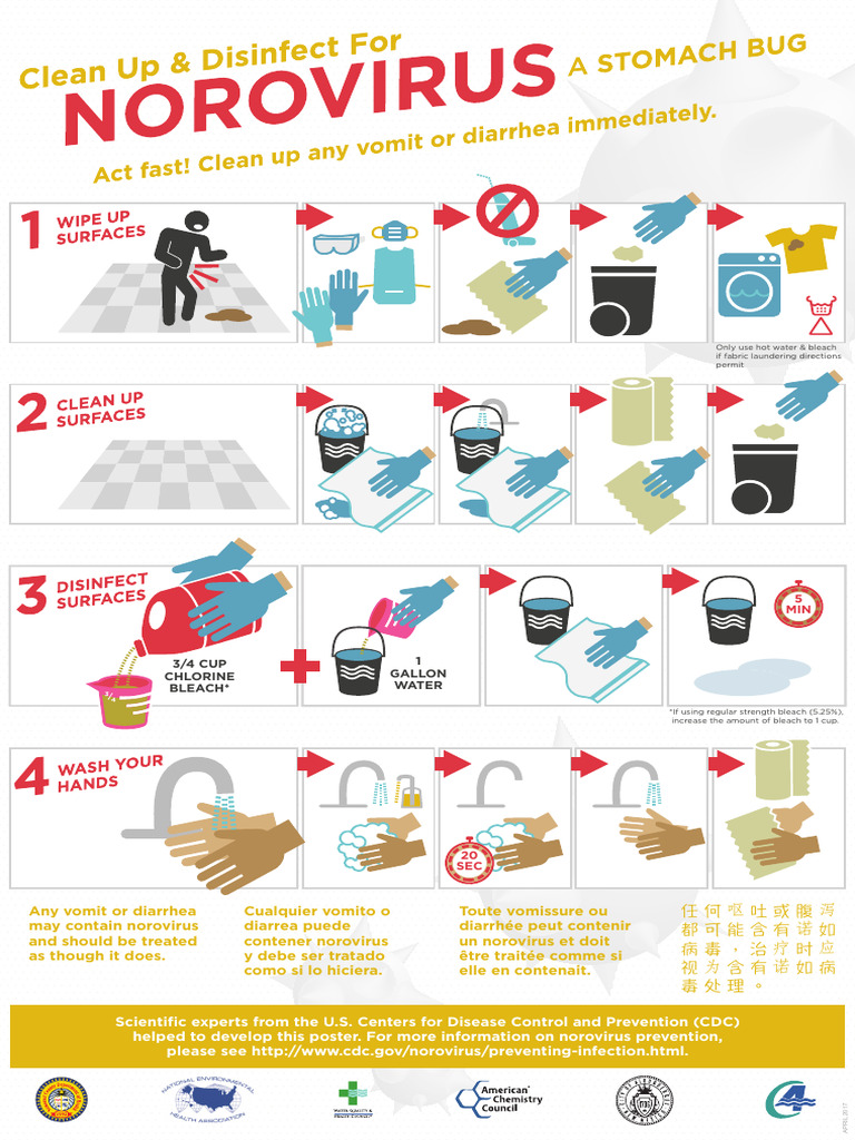 Norovirus Cleaning Guidelines | PDF