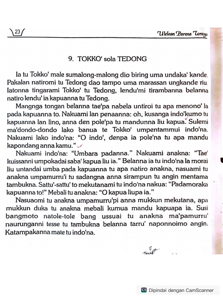 Ulelean Toraja TOKKO Sola Tedong | PDF