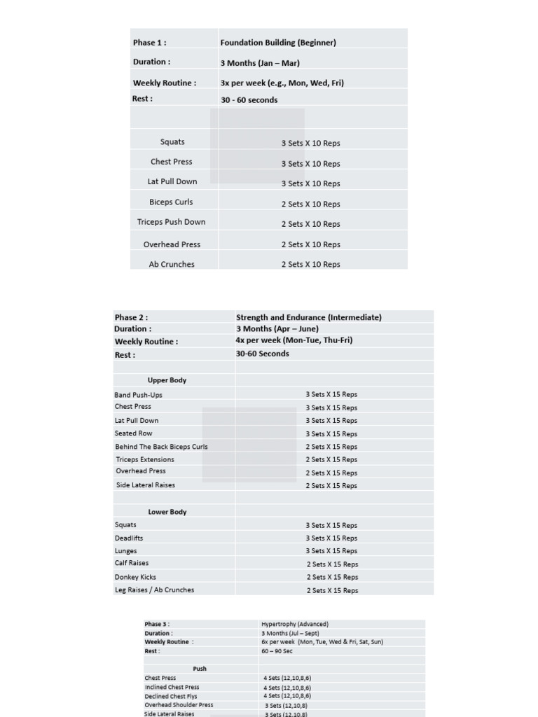 12 Months Workout Plan | PDF | Weight Training | Physical Fitness