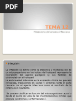 Etapas Del Proceso Infeccioso | PDF | Infección | Las bacterias