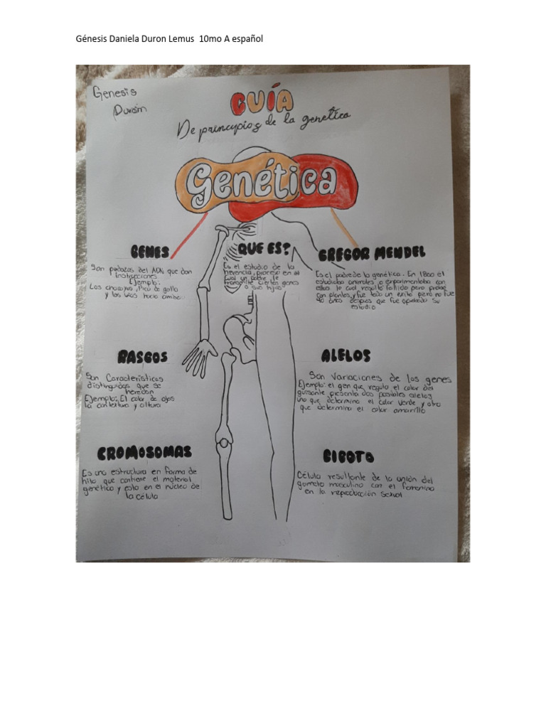 Guia de Principios de La Genetica | PDF