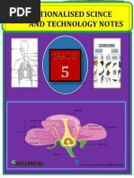 Grade 8 Integrated Science Notes Term 1 | PDF | Ice | Water Vapor