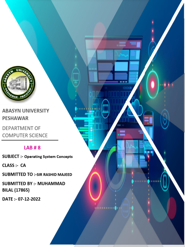 Lab 8: Running Commands as Root | PDF