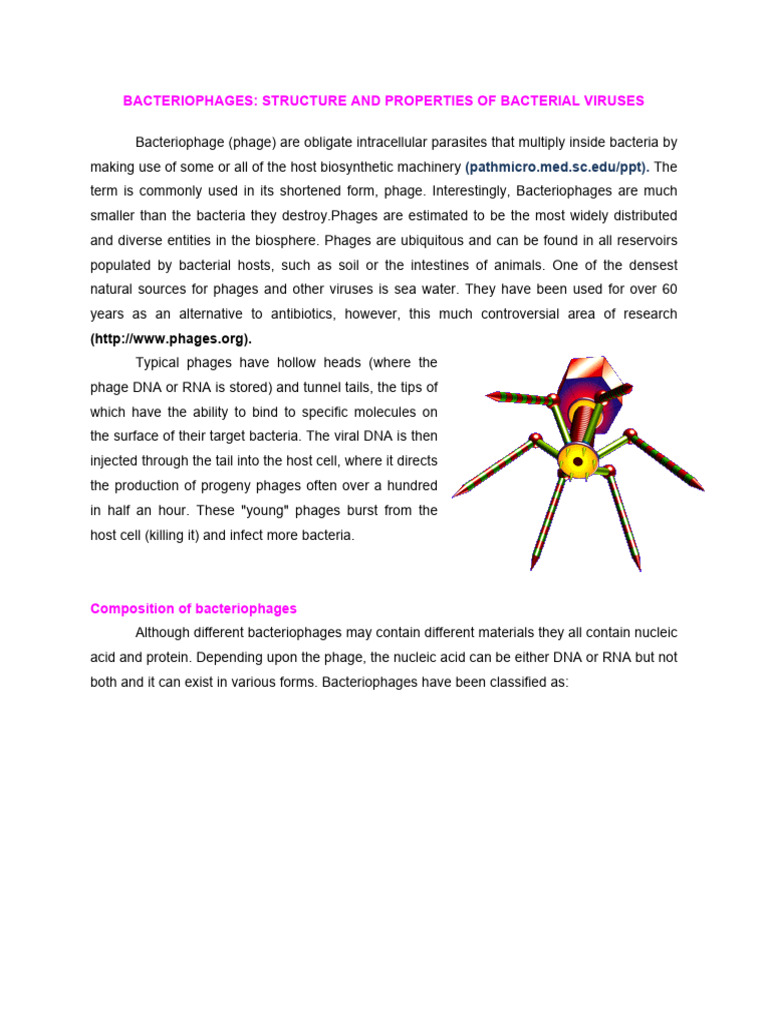 Bacteriophages 7 | PDF | Bacteriophage | Molecular Biology
