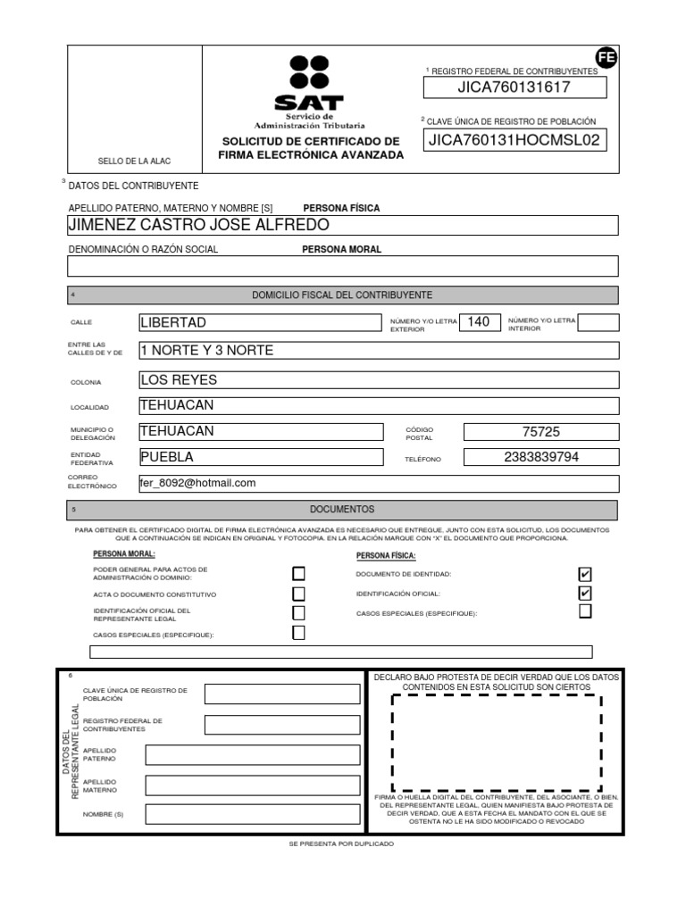 Formato Fiel | PDF | Gobierno | Informática y tecnología de la información