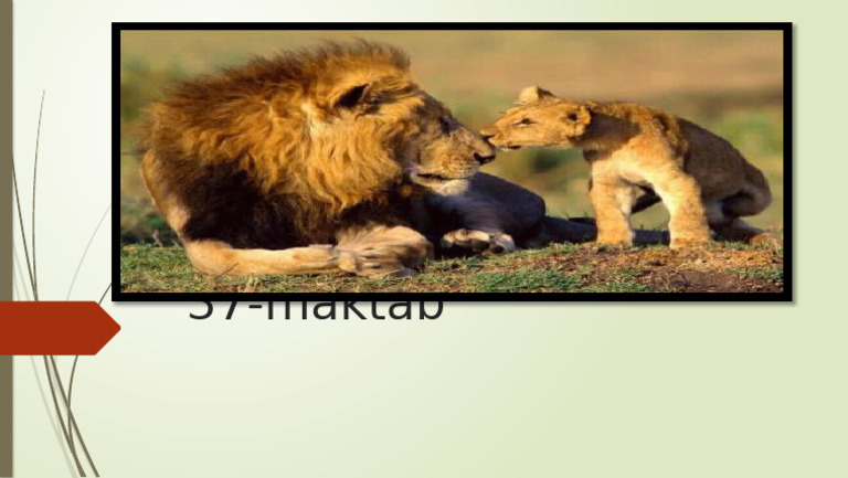 37 Maktab | PDF