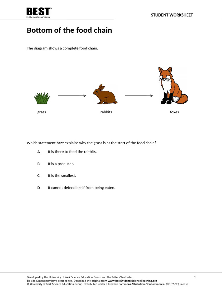 BEST - BOE - 1 - 1 - Diagnostic - Bottom of The Food Chain | PDF ...
