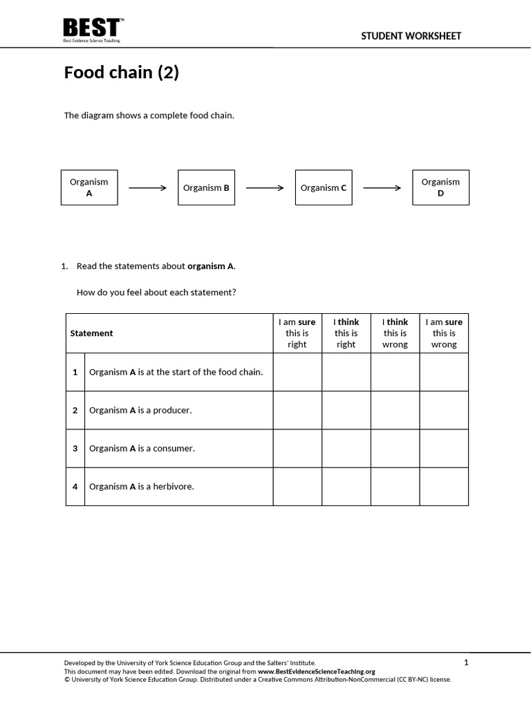 BEST_BOE_1_1_Diagnostic_Food chain (2) | PDF | Predation | Herbivore