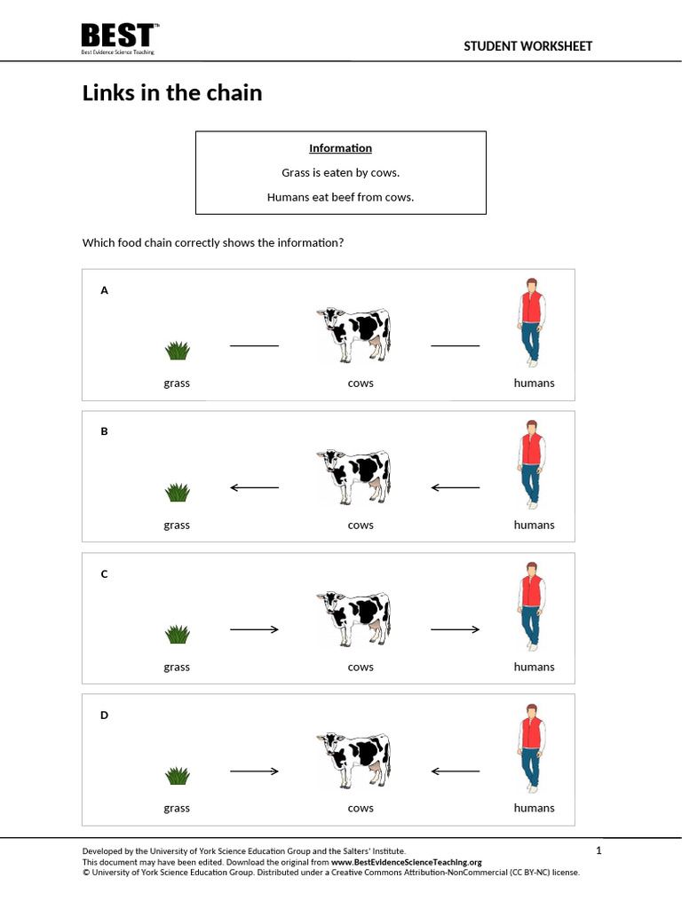 BEST_BOE_1_1_Diagnostic_Links in the chain | PDF | Food Web | Predation