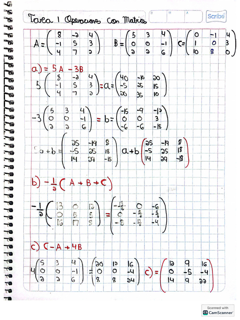 Repaso Operaciones Con Matrices | PDF