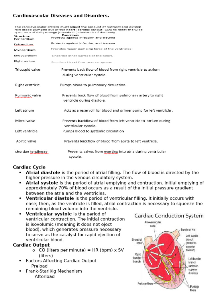 Cardiovascular Diseases and Disorders | PDF | Heart | Diastole