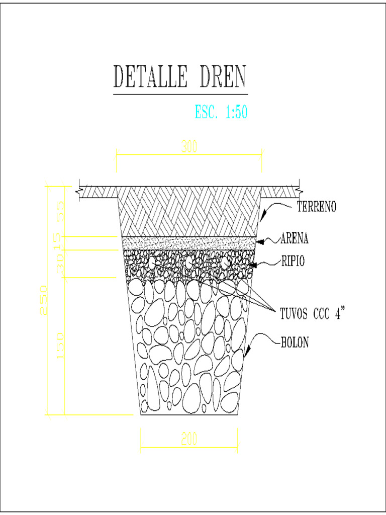 Detalle Dren Presentación1 | PDF