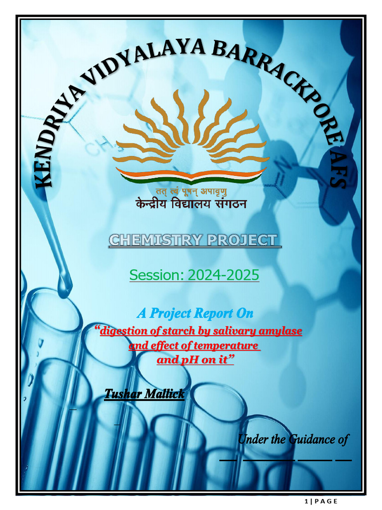 Starch Digestion by Salivary Amylase | PDF | Digestion | Chemistry