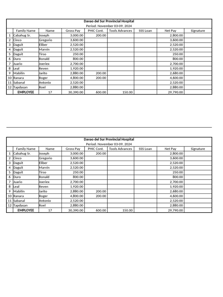 Payroll Template | PDF | Payroll | Expense