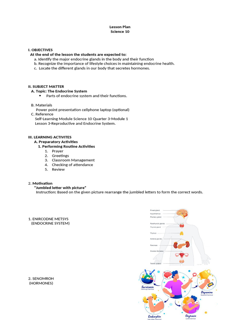 Endocrine System Lesson Plan for Science 10 | PDF | Endocrine System ...