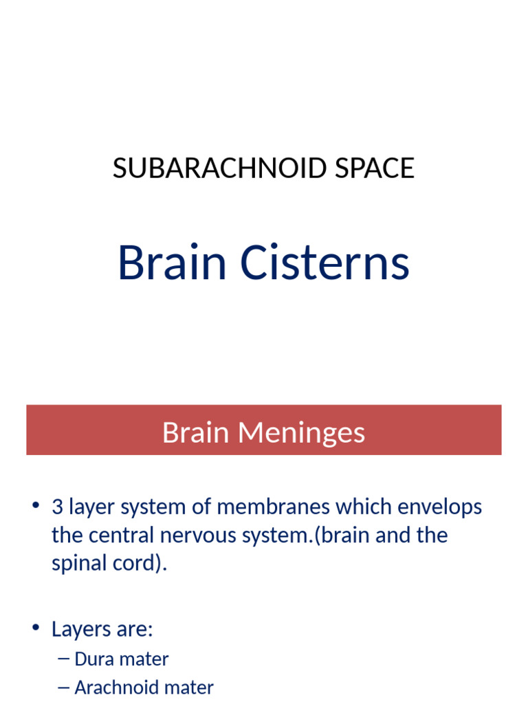 Subarachnoid Space | PDF | Cerebrospinal Fluid | Central Nervous System