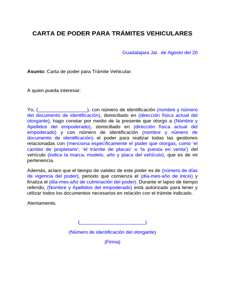 Carta Poder para Trámites Vehiculares | PDF