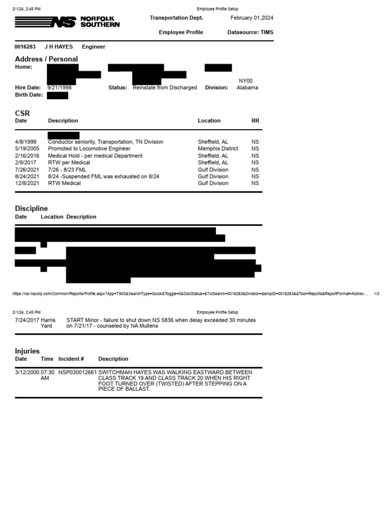 Hayes Engineer A80 Discipline - For docket-Rel-Rel | PDF
