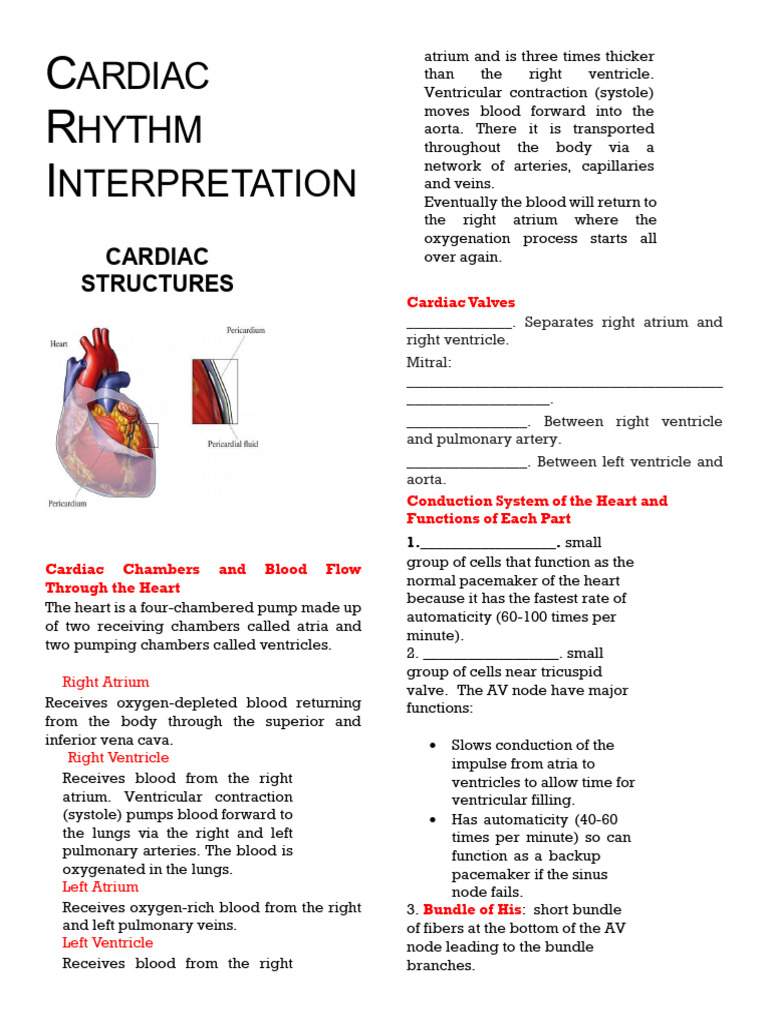 ECG+READING+Lecture+handout | PDF | Heart | Atrium (Heart)