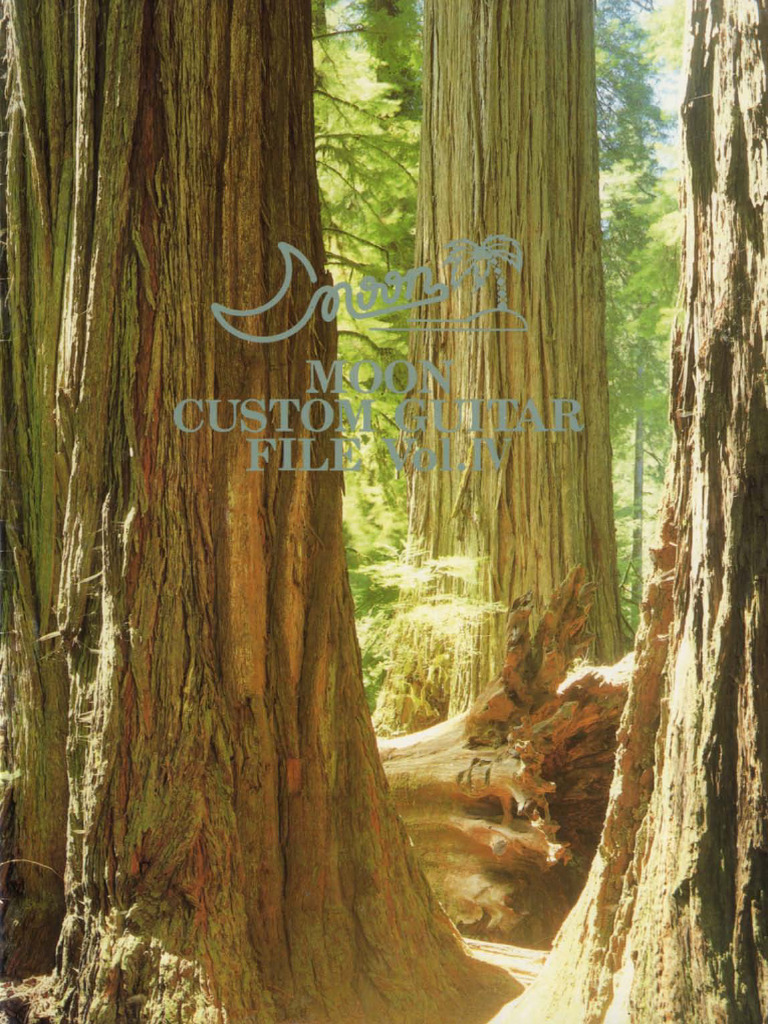 Moon Custom Guitars 1985 Catalog | PDF