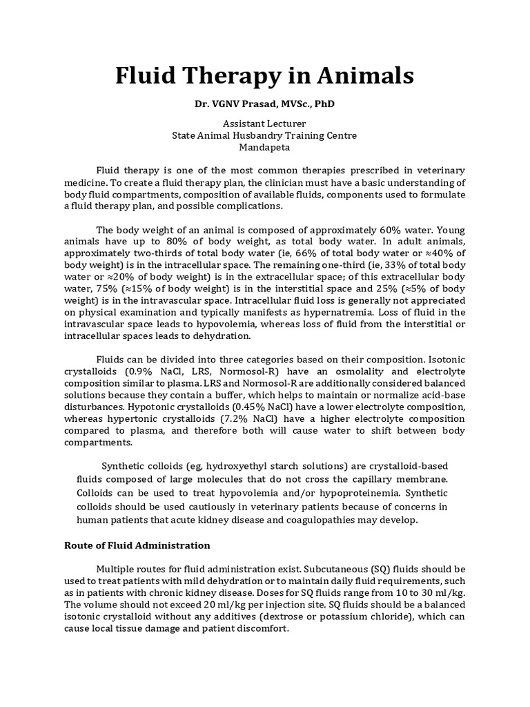 Fluid Therapy Hand Out | PDF | Intravenous Therapy | Dehydration