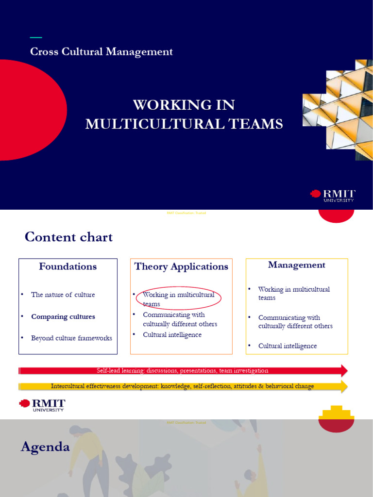 Multicultural Team Management | PDF | Group Cohesiveness | Communication