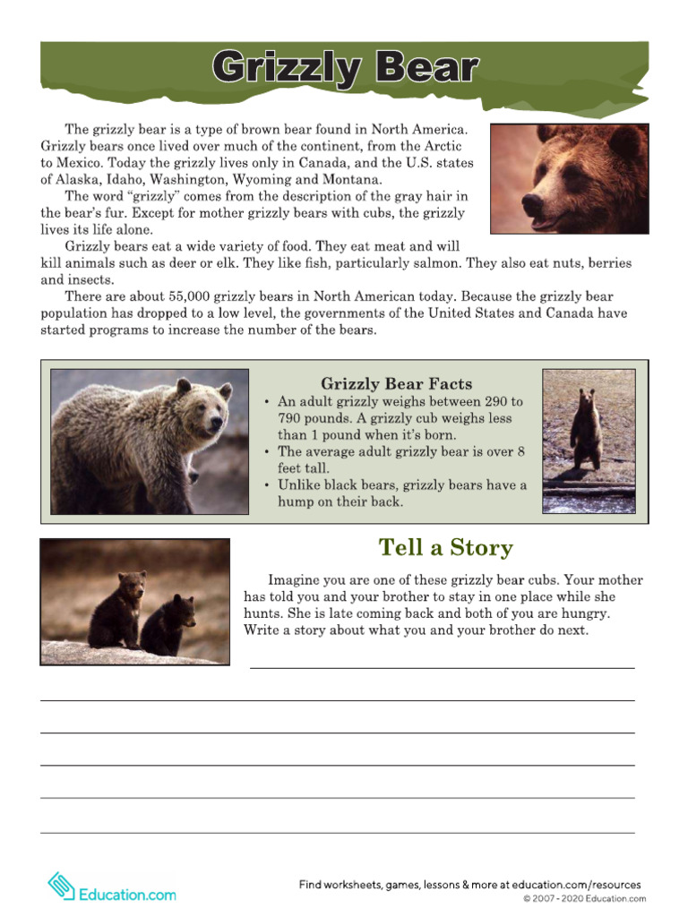 Grizzly | PDF