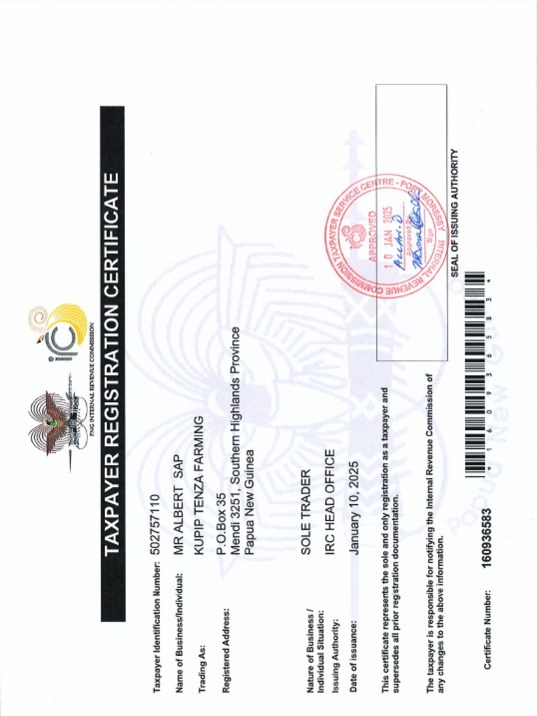 MR ALBERT SAP TIN CERTIFICATE | PDF