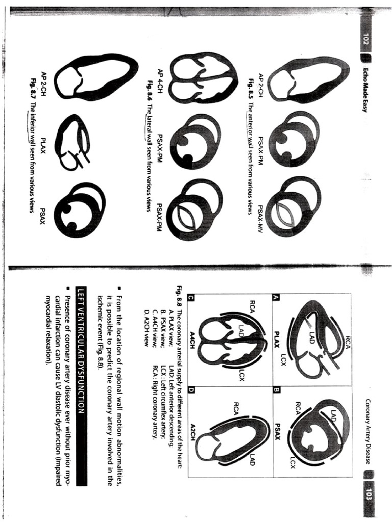 Adobe Scan 24 Nov 2024 | PDF