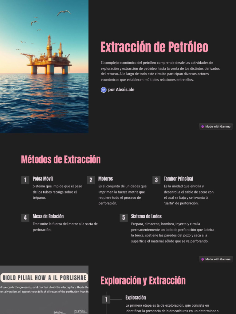 Extraccion de Petroleo | PDF | Petróleo | Depósito de petróleo