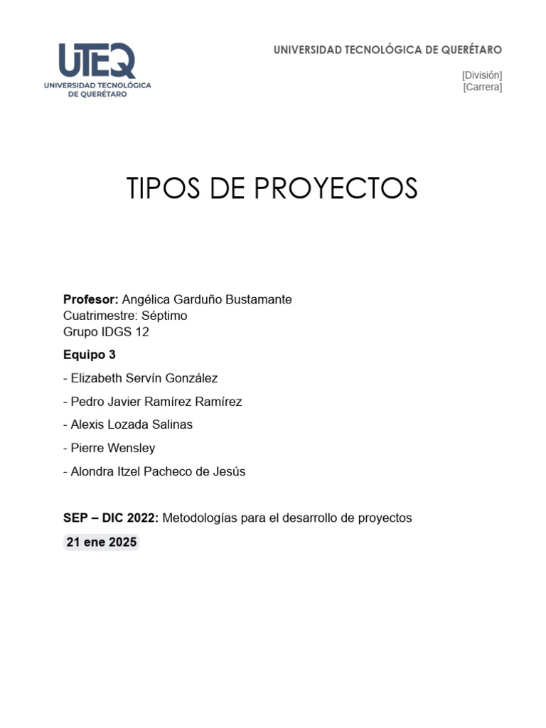 TIPOS DE PROYECTOS | PDF | Business